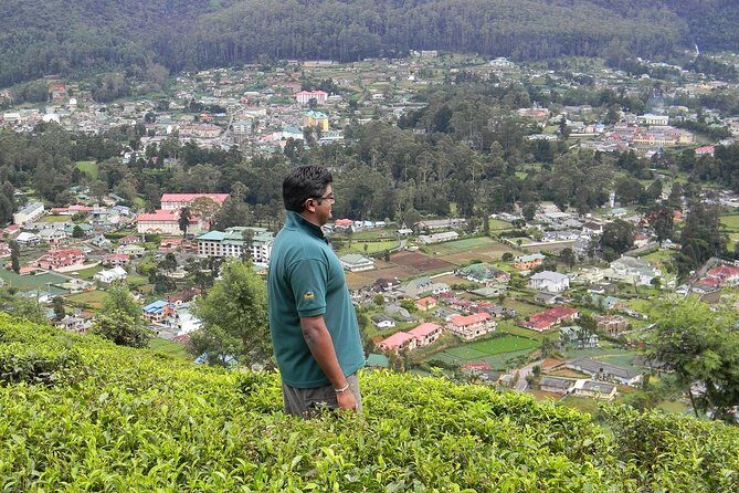 Guided Hike to Single Tree Hills from Nuwara Eliya - Practical Details & Considerations