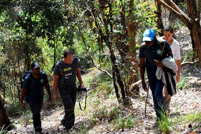 Guided Hike to Single Tree Hills from Nuwara Eliya - FAQ