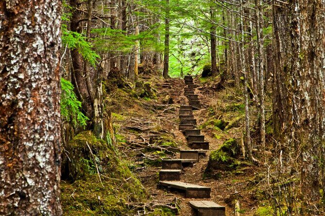 Guided Hike | TONGASS NATIONAL FOREST - Wrapping It Up
