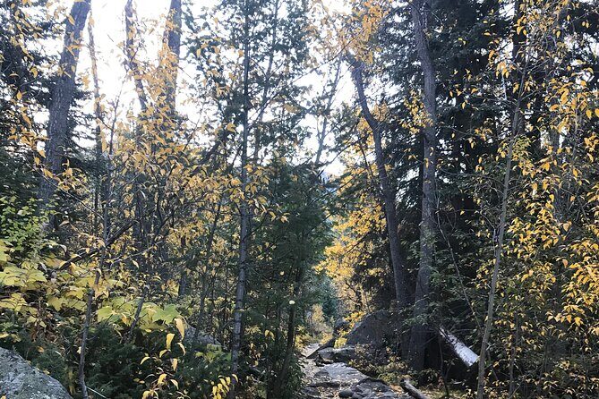 Guided Hiking Experience of Iconic Mirror Lake & Lone Eagle Peak - A Closer Look at the Itinerary