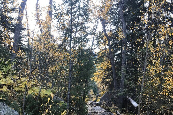 Guided Hiking Experience of Iconic Mirror Lake & Lone Eagle Peak - Who Is It Best For?