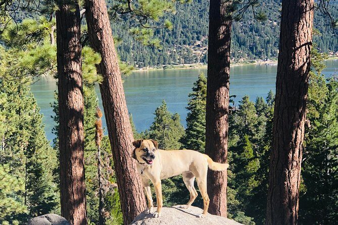 Guided Hiking Tour in Big Bear with Sunset Champagne toast on Private Dock - Discovering Big Bear’s Evening Charm: A Deep Dive into the Tour
