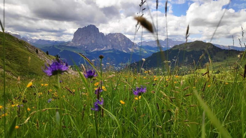 Guided hiking tour in South Tyrol and the Dolomites with IML hiking guide - Who Will Enjoy This Tour?