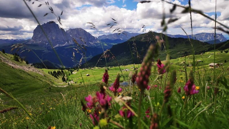 Guided hiking tour in South Tyrol and the Dolomites with IML hiking guide - FAQs