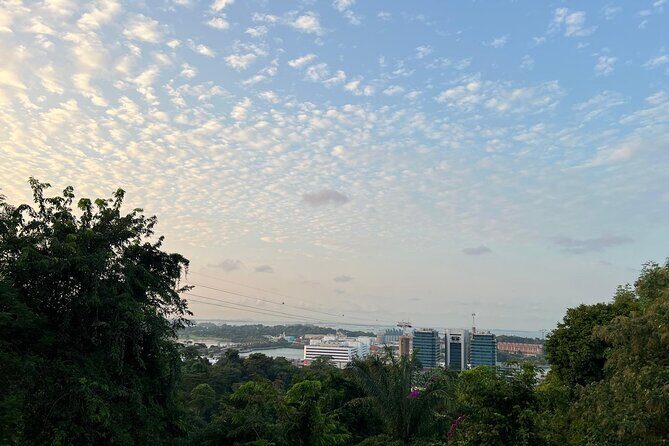 Guided Hiking Tour to Seah Im bunker, Mount Faber and Henderson - The Authentic Experience: What Travelers Can Expect