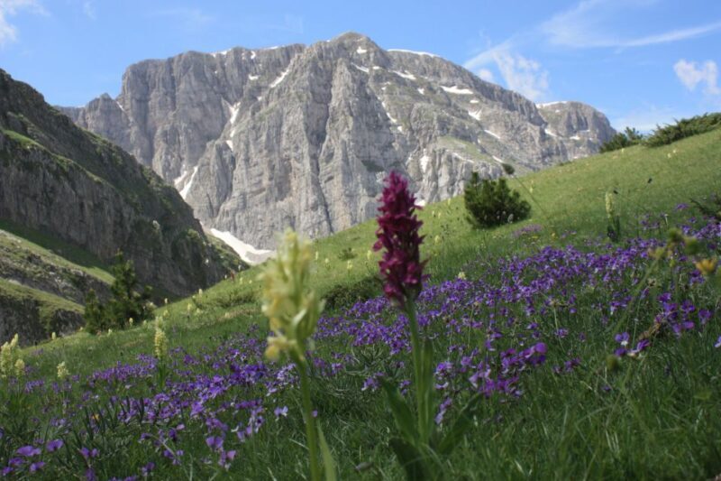 Guided hiking tour to the dragon lake of Mountain Tymfi - FAQ