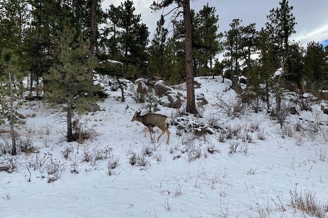 Guided Hiking Tours near Fort Collins - Practical Details and Tips