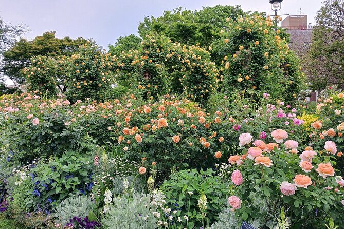 Guided History & Nature Exploration in the Yokohama Hill Area - Historic & Scenic Stops: A Closer Look