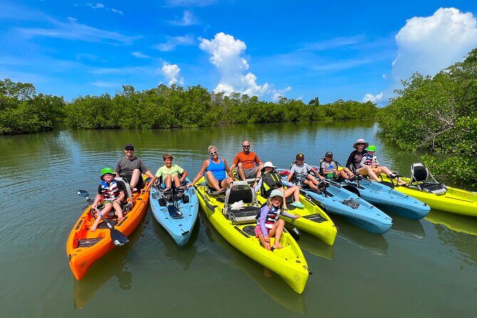 Guided Hobie Kayak EcoTour: Premium Eco Experience Bonita Springs - Starting Point and Logistics