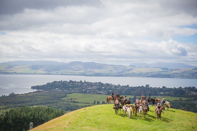 Guided Horse Trekking from Rotorua - An In-Depth Look at the Rotorua Horse Trekking Experience