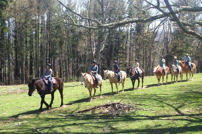 Guided Horseback Ride through Flame Azalea and Fern Forest - Authentic Encounters and Reviews