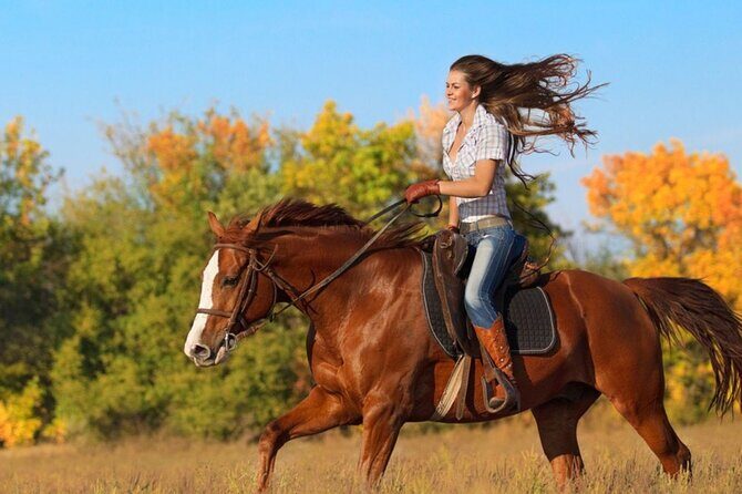 Guided Horseback Riding Adventure in Miami Countryside - Introduction