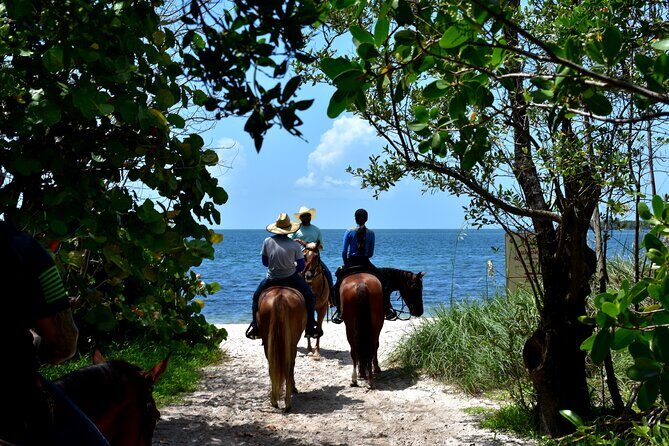 Guided Horseback Riding on The Pristine Waters of Miami Florida - An In-Depth Look at the Horseback Riding Tour