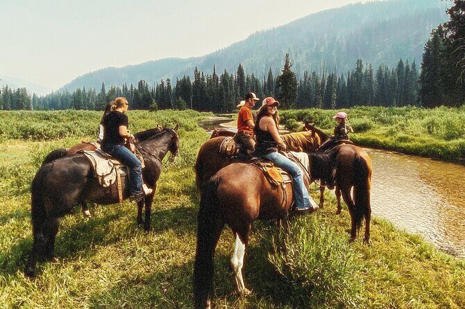 Guided Horseback Trail Rides - A Detailed Look at the Trail Ride Experience