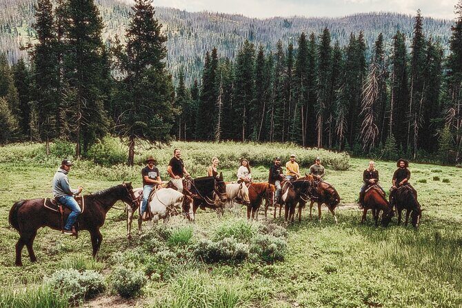 Guided Horseback Trail Rides - Practical Details and Tips for Travelers