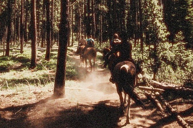 Guided Horseback Trail Rides - Final Thoughts