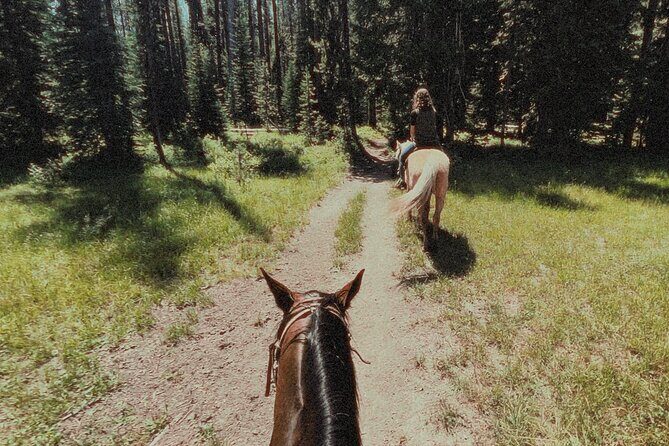 Guided Horseback Trail Rides - Frequently Asked Questions
