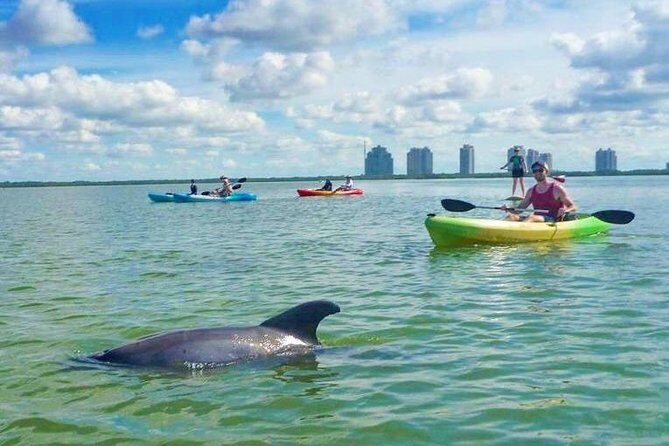 Guided Island EcoTour: CLEAR/Standard Kayak, SUP - Bonita Springs - Value and Practical Considerations