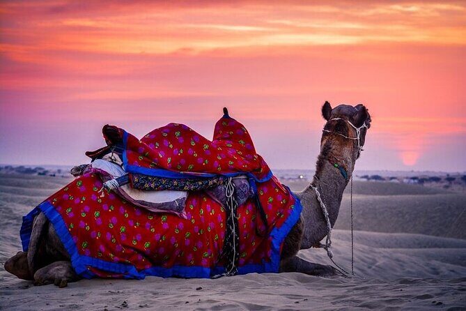 Guided Jaisalmer City Tour With Drop Off at Jaipur - Who Should Consider This Tour?