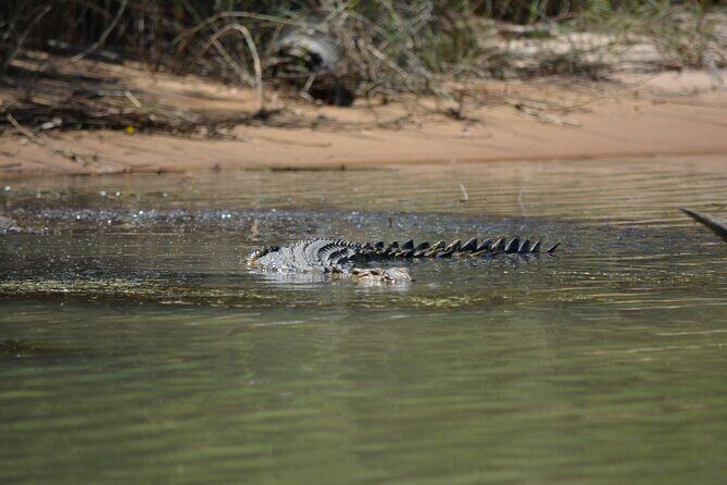 Guided Kakadu Day Tour - FAQs