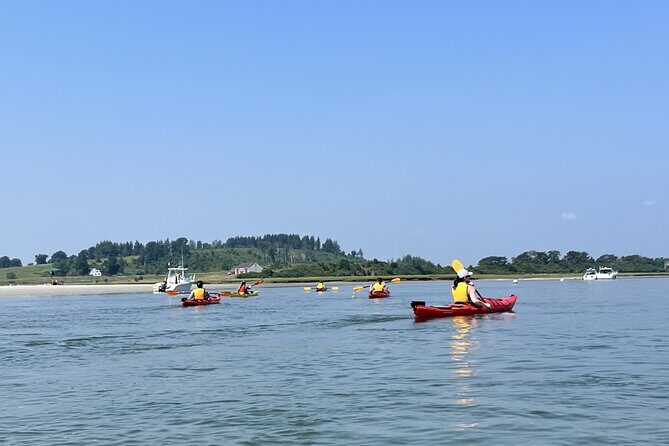 Guided Kayak at the Crane Estate - An In-Depth Look at the Experience