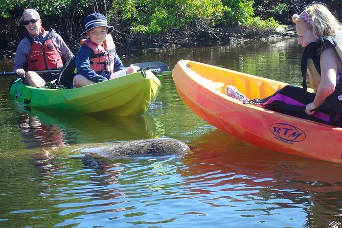 Guided Kayak Eco Tour - Bunche Beach - Introduction to the Bunche Beach Eco Kayak Tour