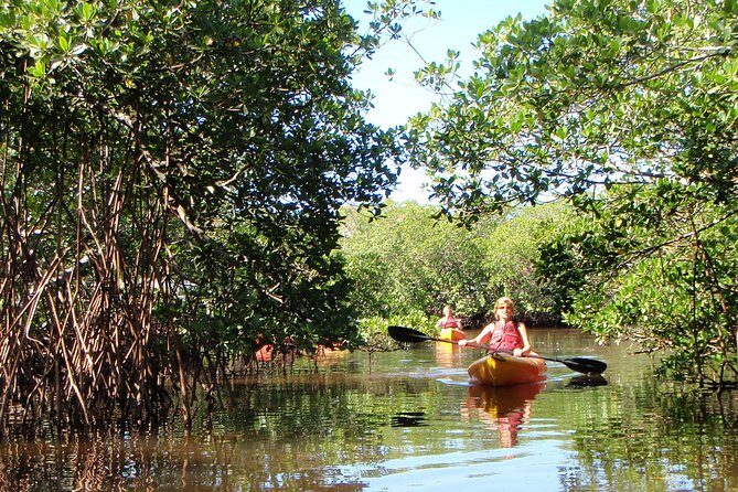 Guided Kayak Eco Tour - Bunche Beach - The Sum Up: Who Is It Best For?