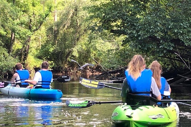 Guided Kayak Eco Tour: Real Florida Adventure - Exploring Amelia Island’s Wetlands: What You’ll Experience