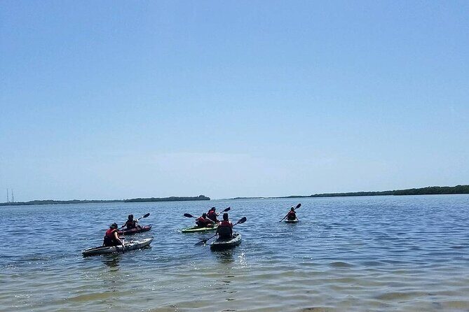 Guided Kayak EcoTour of Beautiful Shell Key Preserve - An In-Depth Look at the Shell Key EcoTour