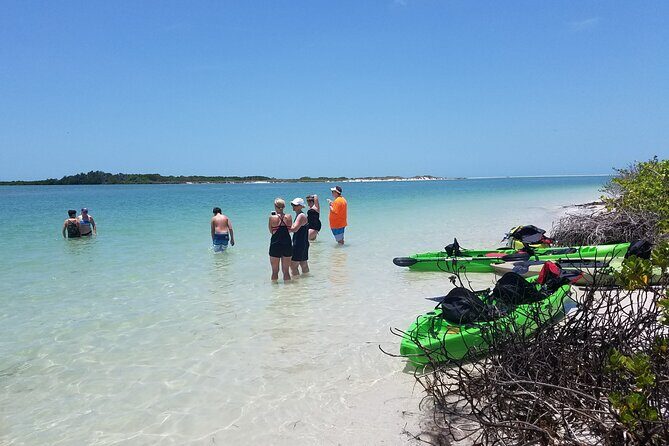 Guided Kayak EcoTour of Beautiful Shell Key Preserve - Who Should Consider This Tour?