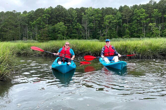 Guided Kayak Excursion Rehoboth Back Bay - Why This Tour Stands Out