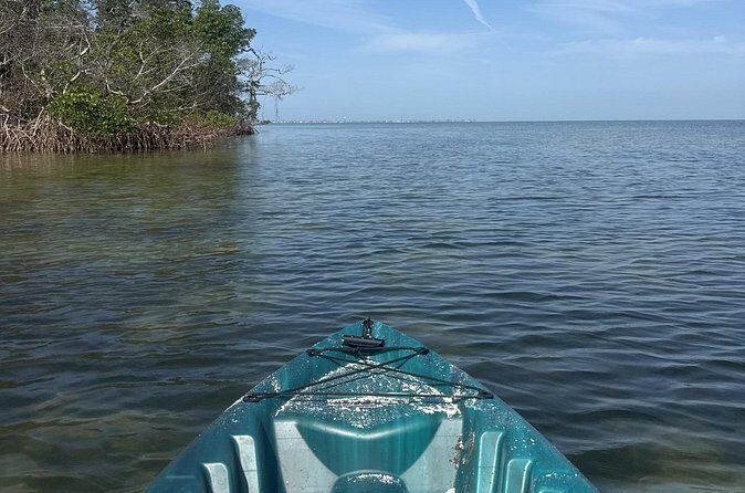 Guided Kayak Experience at EG Simmons Park - Who Should Consider This Tour?