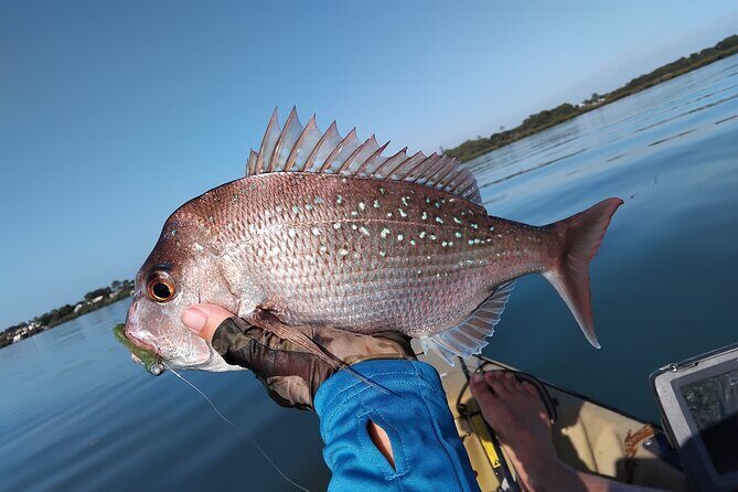 Guided Kayak Fishing - The Experience: Pros and Cons