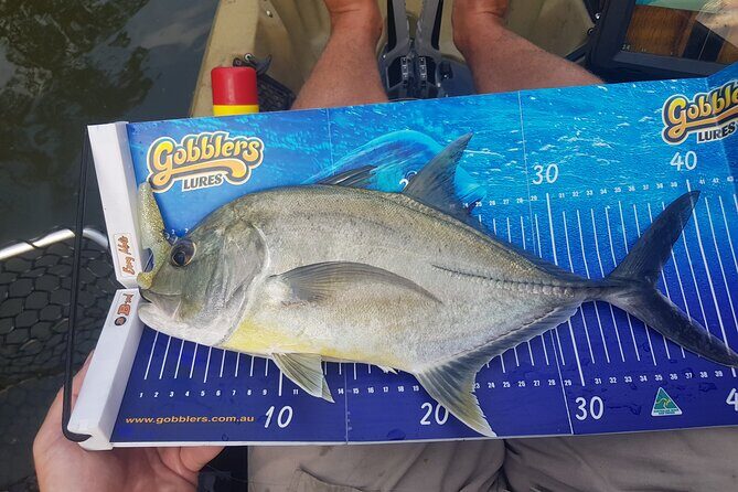 Guided Kayak Fishing - The Value of This Tour