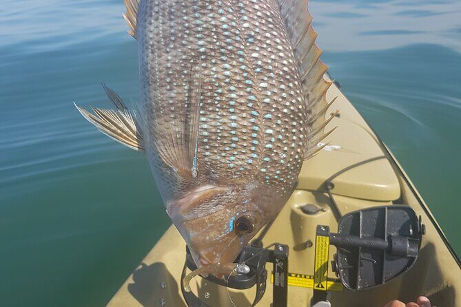 Guided Kayak Fishing - FAQs
