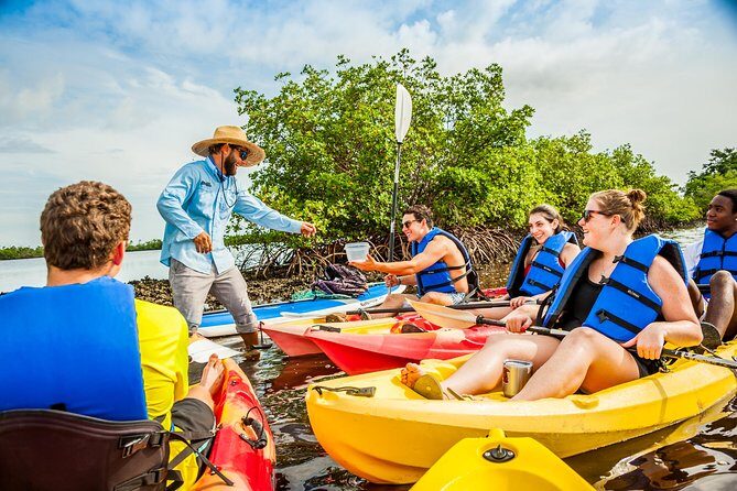 Guided Kayak Mangrove Ecotour in Rookery Bay Reserve, Naples - Pricing and Value