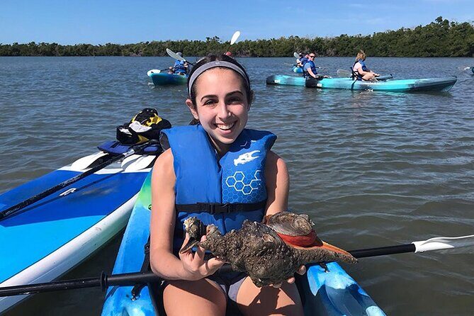 Guided Kayak Mangrove Ecotour in Rookery Bay Reserve, Naples - Practical Tips for Your Tour