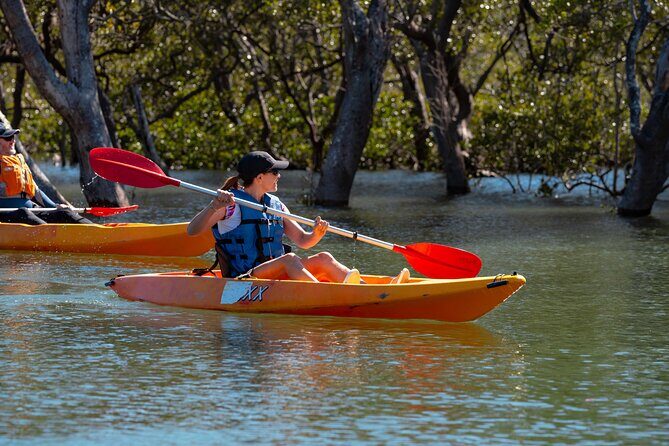 Guided Kayak Tour - Key Points