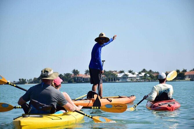 Guided Kayak Tour from Margaritaville - The Experience: What You Can Expect