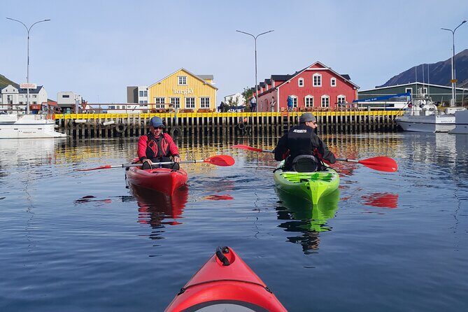 Guided kayak tour in Siglufjörður / Siglufjordur. - Experience Iceland’s Fjords from a New Perspective: The Siglufjörður Guided Kayak Tour