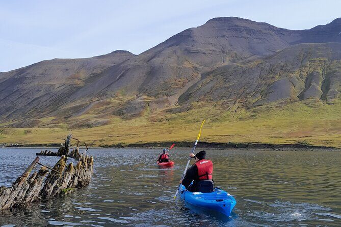 Guided kayak tour in Siglufjörður / Siglufjordur. - Key Points