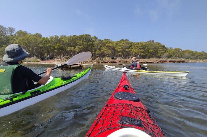 Guided kayak tour inside the Stagnone of Marsala - Why This Tour Perfectly Fits Certain Travelers