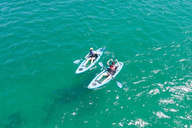 Guided Kayak Tour of Manly Cove Beaches - FAQ