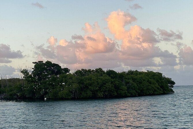 Guided Kayak Tour of Salt River Bay Ecology and History - The Sum Up