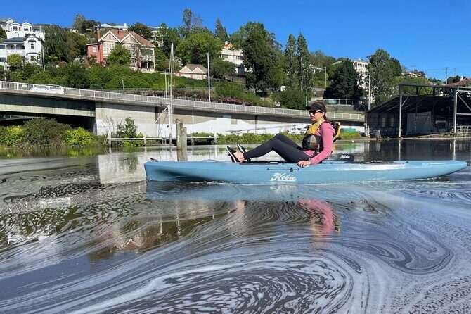 Guided Kayak Tour on Launceston's scenic waterfront on foot powered Hobie kayaks - Key Points