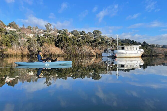 Guided Kayak Tour on Launceston's scenic waterfront on foot powered Hobie kayaks - Discovering Launceston from the Water