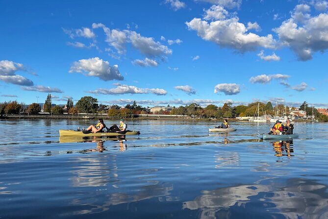 Guided Kayak Tour on Launceston's scenic waterfront on foot powered Hobie kayaks - The Equipment and Accessibility