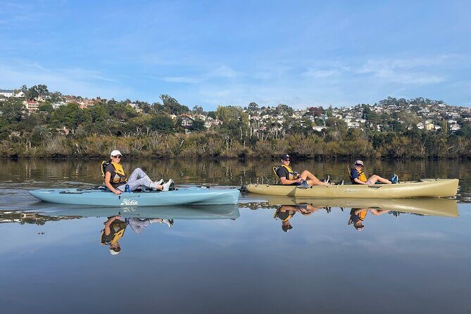 Guided Kayak Tour on Launceston's scenic waterfront on foot powered Hobie kayaks - Who Will Love This Tour?