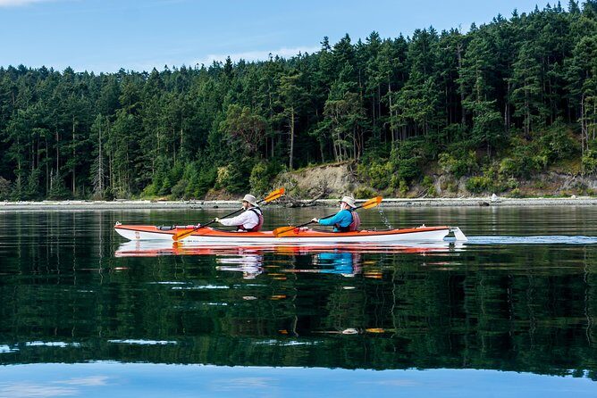 Guided Kayak Tour on San Juan Island - Final Thoughts