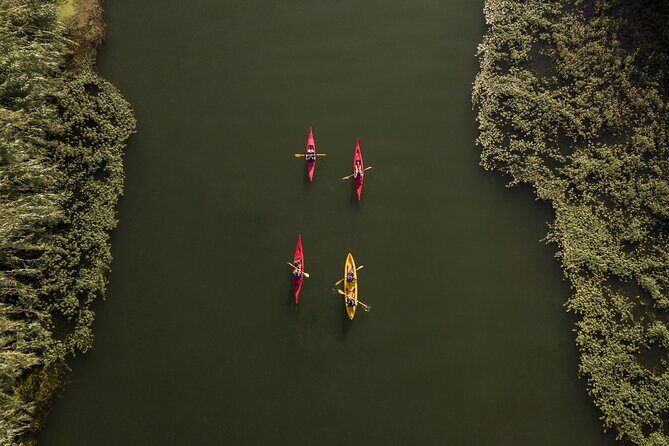 Guided Kayak Tour to Gracia Island - Detailed Breakdown of the Itinerary